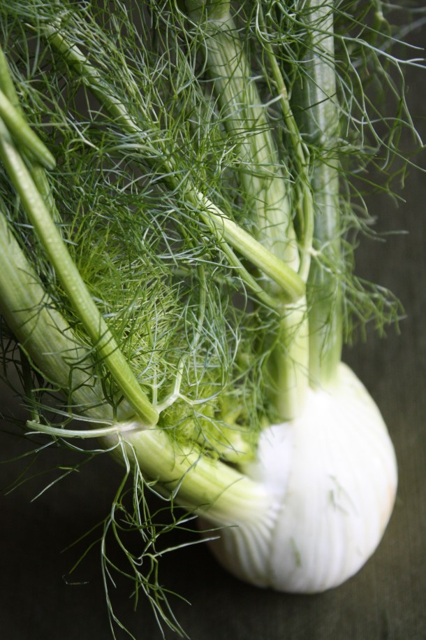 Shaved Apple-Fennel Salad | The Gourmand Mom